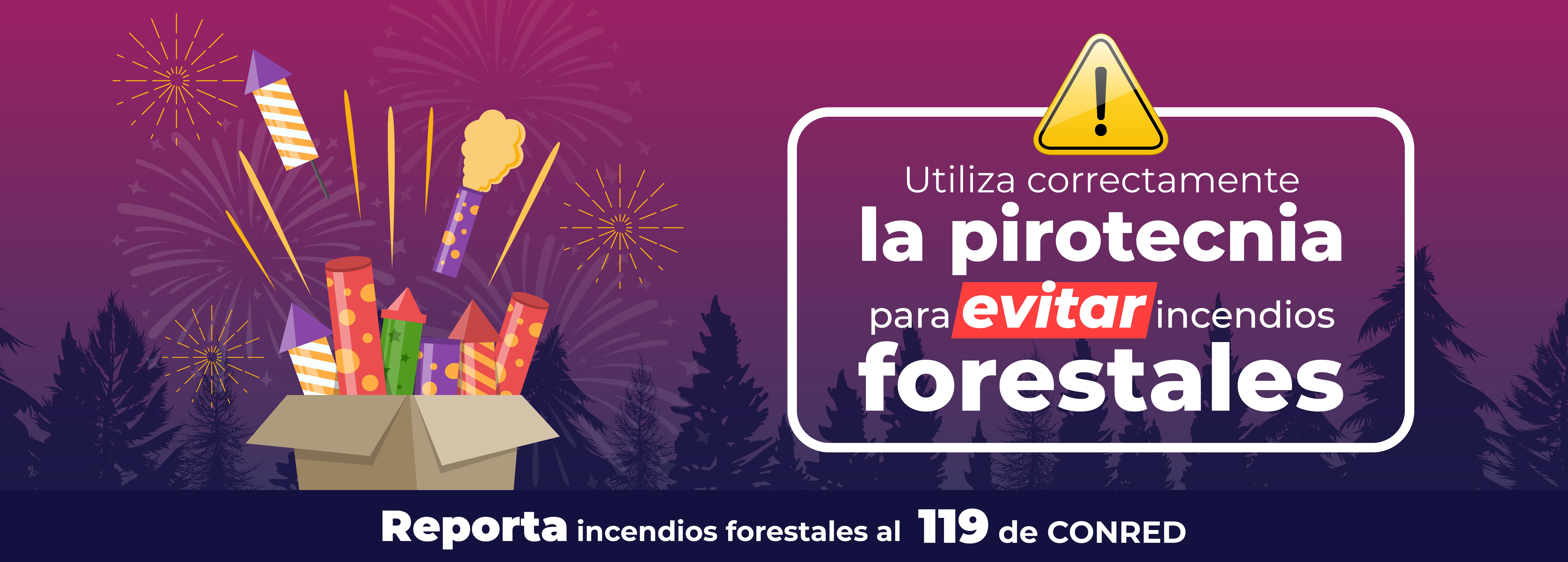 Instituto Nacional de Bosques - INAB